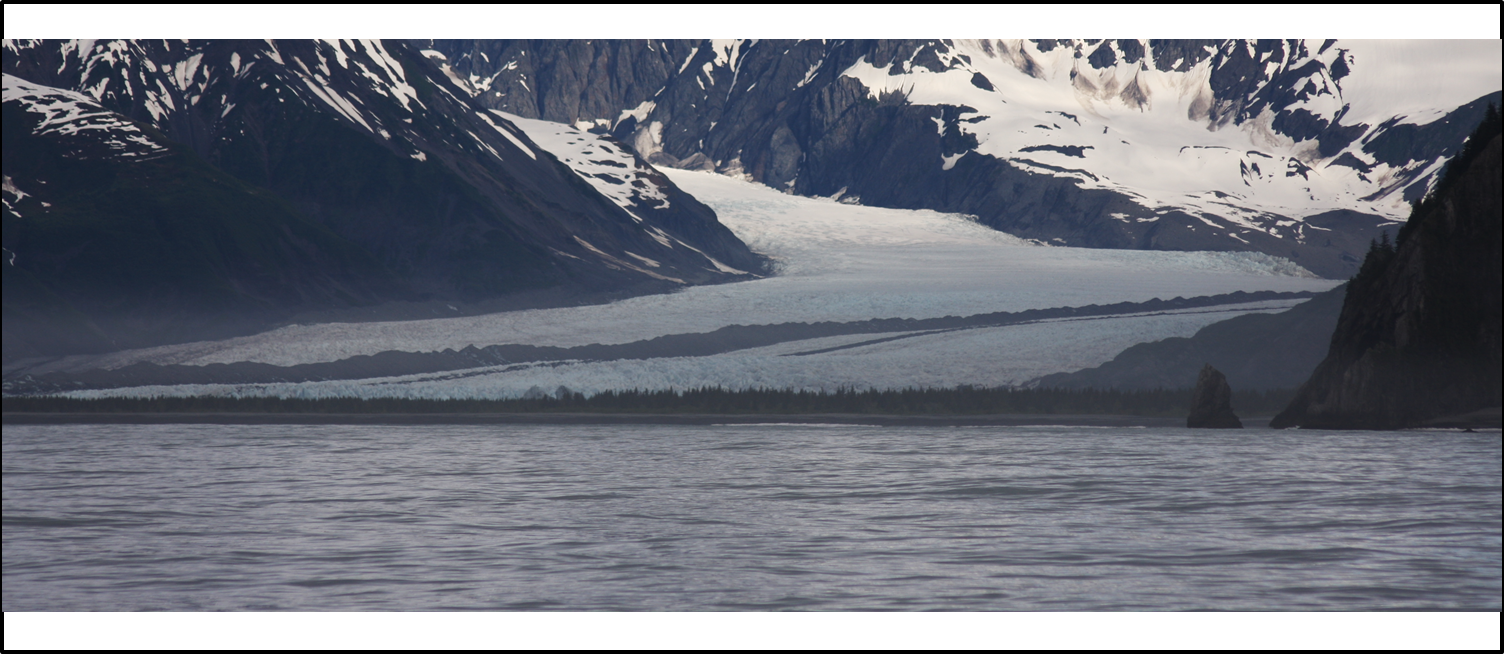 Picture1_bear – Latest Stories